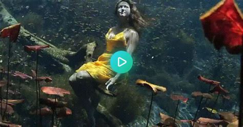 In The Cenote  On Imgur