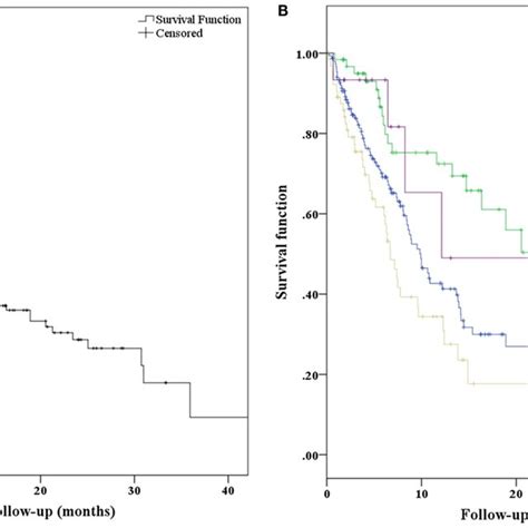 A Kaplanmeier Curves Representing Overall Survival For All Patients