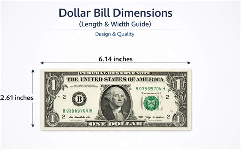 Dollar Bill Dimensions Length Width And Thickness Guide