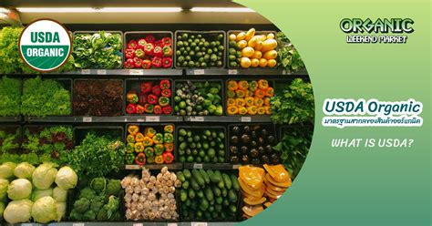 Usda Vegetable Definition At Marilyn Pierre Blog