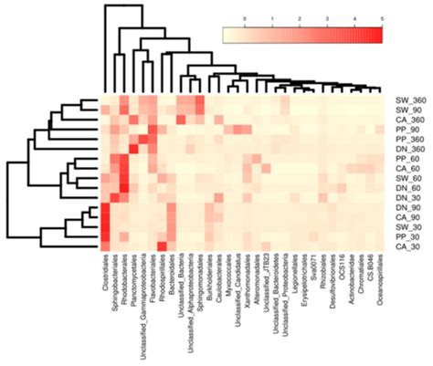 Microorganisms Special Issue Microbial Biodegradation And Biotransformation