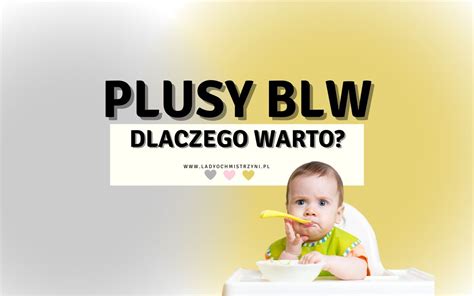 Plusy I Minusy Blw To Musisz Wiedzieć Lady Och Mistrzyni