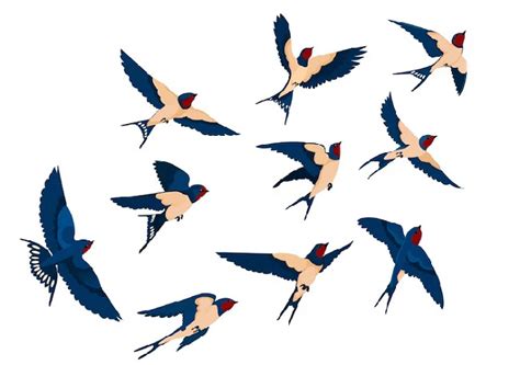 Hình ảnh Chim Yến Vector And Png Tải Xuống Miễn Phí