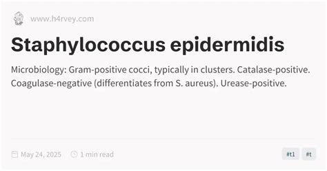 Staphylococcus Epidermidis