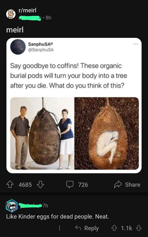 Cursed Cat R Cursedcomments
