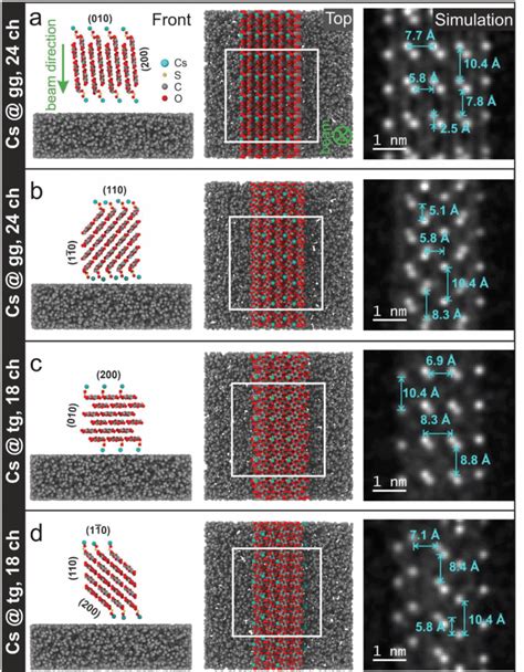 Visualization Of Cellulose Structures With Cesium Labeling And Cryo