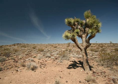 Visit Death Valley National Park California Audley Travel
