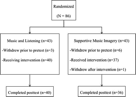 Randomization And Participant Flow Download Scientific Diagram