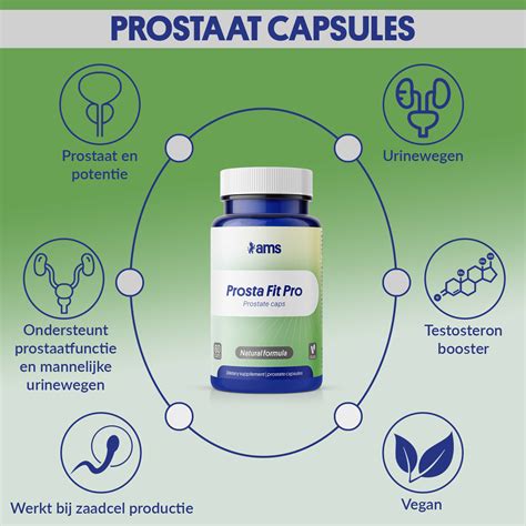 Prostaat Supplementen Kopen Wat Zijn De Beste Prostaat Supplementen Erectiepillenwinkel