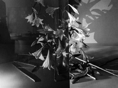 The Pioneering Life Of Constance Spry London Flower School