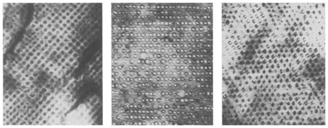 Void Lattice In Nb In Loo 110 And 111 Projection 40
