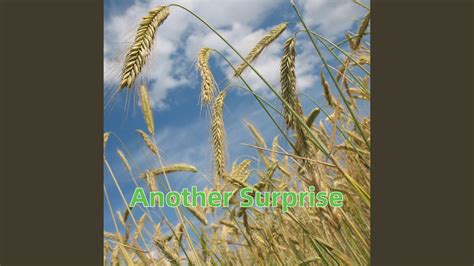 Another Surprise Youtube