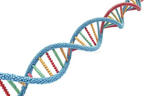 Representation Of Human Dna Chain Isolated White Background Generated