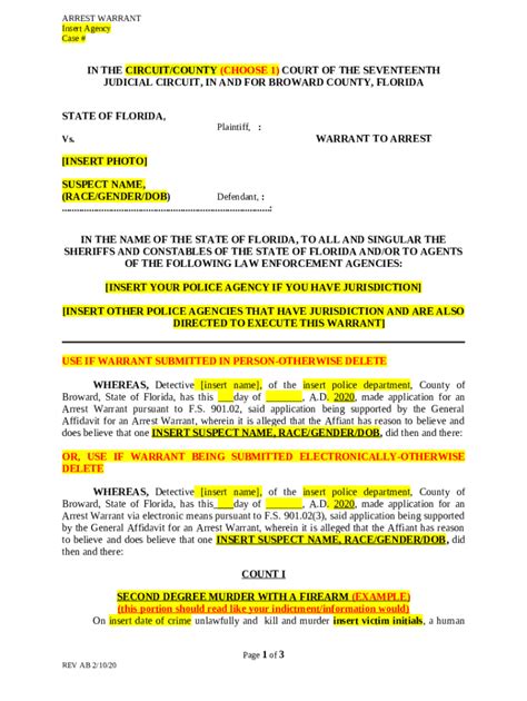 Seventeenth Judicial Court Broward County Florida Affidavit Doc