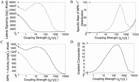 5 Factors Contributing To Coupling Mediated Gradient Amplification A Download Scientific