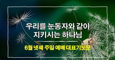 2023년 6월 넷째 주일 대표기도문 우리를 눈동자와 같이 지키시는 하나님 주일예배 대표기도문