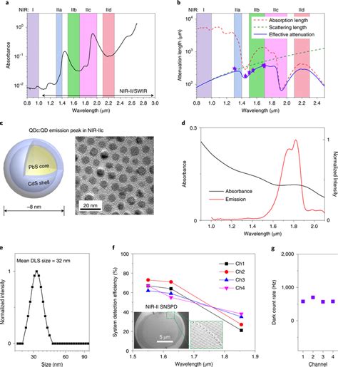 Lead Sulfide Qds And Superconducting Nanowire Single Photon Detectors