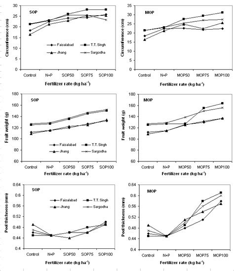 Effect Of Different Rates Of SOP And MOP On Circumference Weight And Download Scientific