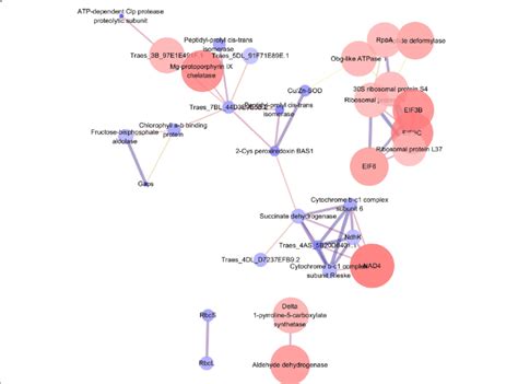 Protein Protein Interaction Networks Of Differentially Abundant