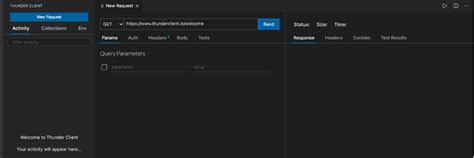 Api Testing With Thunder Client Synapse Qa