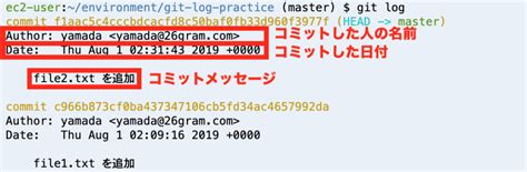 【git入門】git Log の使い方とオプション一覧（コミット履歴を確認する） 初心者向け完全無料プログラミング入門