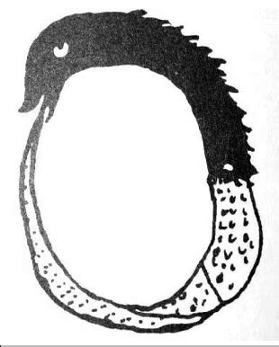Ouroboros E Chrysopoeia Of Cleopatra Aer Bugaj Hermetyzm