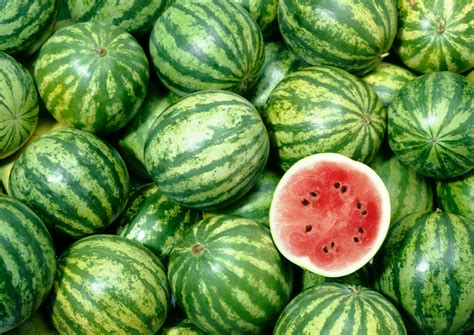 Melone Saison Wann Gibts Frische Melonen