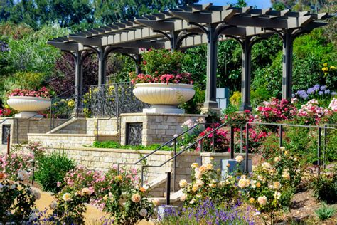 5 Best Botanical Gardens In Los Angeles A Guide To Natures Tranquil