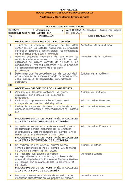 Esquema De Plan Global De Auditoria Plan Global Auditores En Gestion