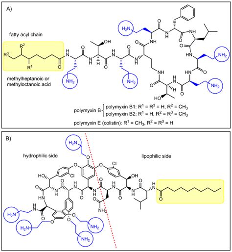 受多粘菌素启发合成两亲性万古霉素糖苷配基衍生物：在体外与替考拉宁协同克服革兰氏阳性和革兰氏阴性细菌的糖肽耐药性scientific