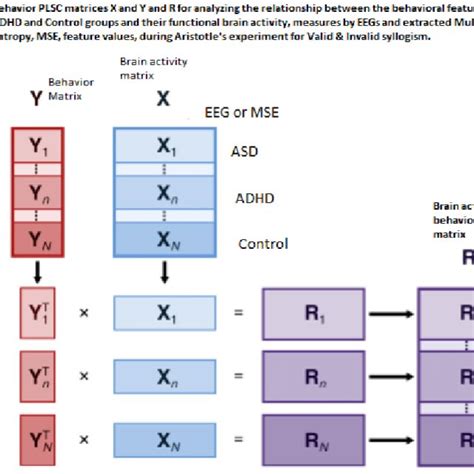 Construction Of Matrices X Y And Extracted Correlation Matrix R The