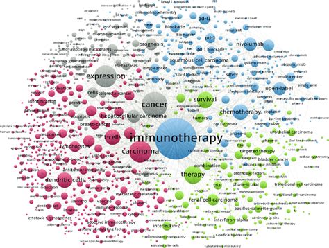 Network Visualization Map Of Keywords Of Publications Related To