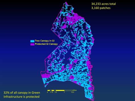Forest Fragmentation The States Of Our Forests And Prospects For