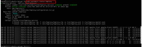 How To Install Haproxy On A Kamatera Ubuntu Server Kamatera