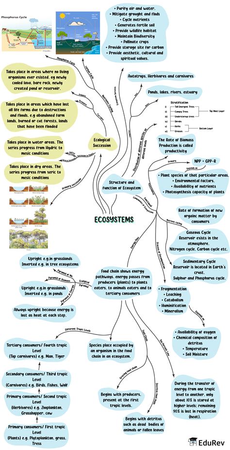 Mind Map Ecosystem Neet Pdf Download