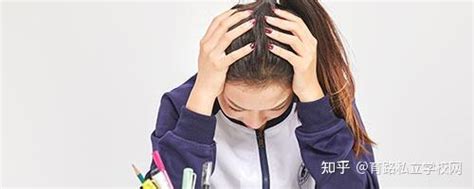 【收藏】丰台区中小学学区划分一览24年能上哪所学校速看 知乎