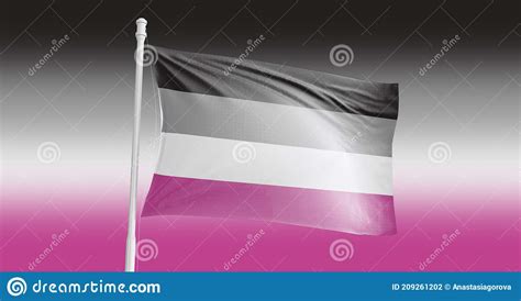 Gynephilia Pride Flag Coming Out Lgbt Symbol Stop Homophobia Human