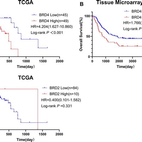 Brd4 Expression Level And Immune Infiltration A Brd4 Expression Level Download Scientific