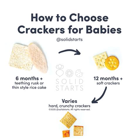 Crackers For Babies How To Introduce Crackers To Babies