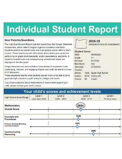 Free 10 Individual Student Report Samples Attendance Progress