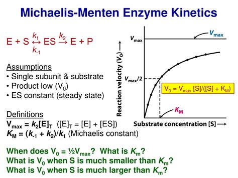 Ppt Biochemical Reaction Rate Enzyme Kinetics Powerpoint