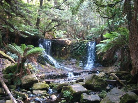 Dreamtime I Stephanie Mohn