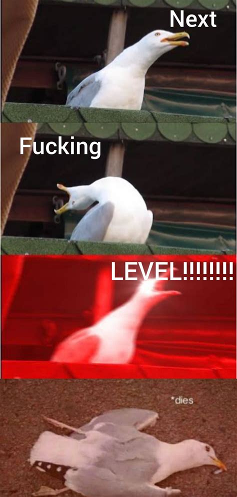 Redditors When They See Any Kind Of Human Decency Scrolller