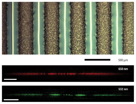 Multicolour Patterns As Wave Selective Diffraction Gratingsthe Top