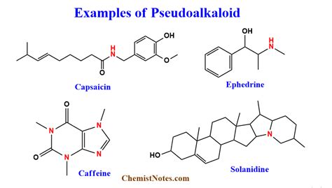 Alkaloids Introduction 6 Chemical Tests Classification Health Benefits Chemistry Notes