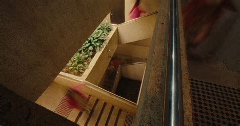 Wonder Rhys Tyack Director Of Photography