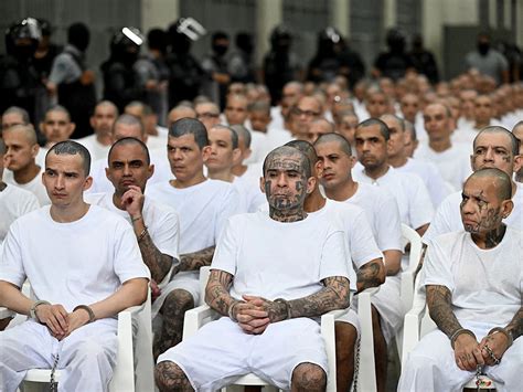 Failed Refugee Claimant Ms 13 Gang Informant Identity Thief And