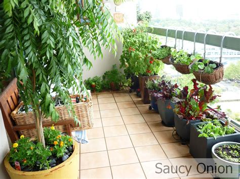 Creative Balcony Garden Ideas With Many Potted Plants Terrace