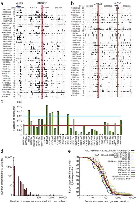 Patterns Of Histone Modifications At Enhancers A The Histone Download Scientific Diagram