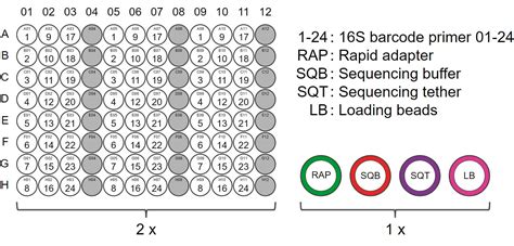 16s Barcoding Kit 1 24 Interprise Oxford Nanopore